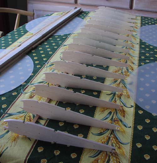 The Stick, making my own wing