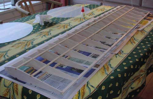 The Stick, making my own wing