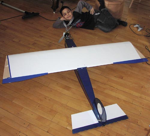 The Stick, making my own wing